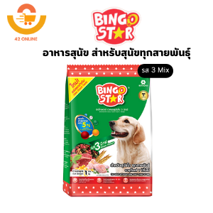 Bingo Star Cat บิงโก สตาร์ สุนัข 800g. 1kg. และ 20kg. - 42 ONLINE CO.,LTD